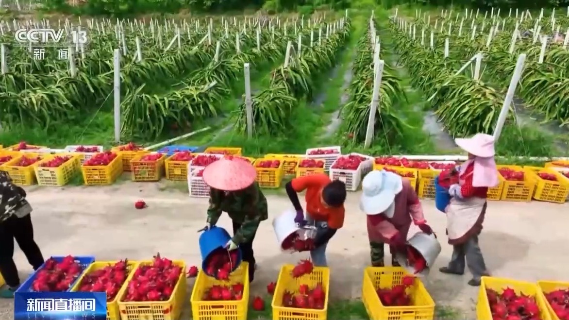 视频丨交卷！脱贫地区大变样 这份答卷超亮眼-新闻中心-东营网